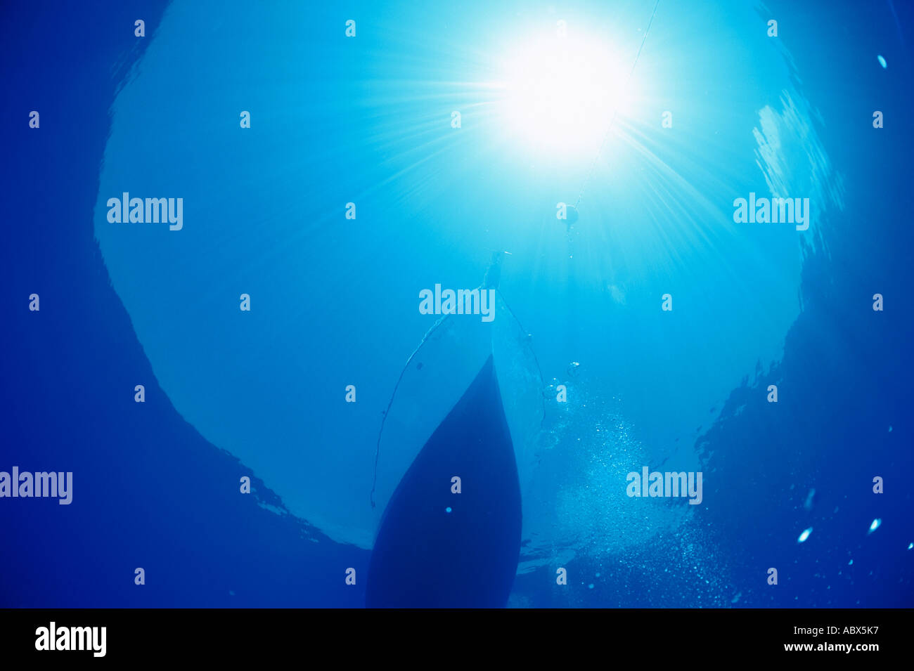 Bottom of boat floating in ocean Stock Photo - Alamy