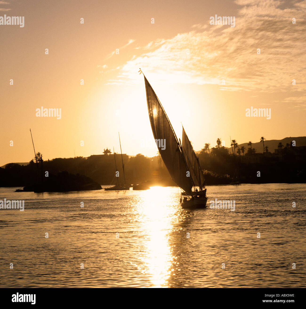 Afrika Africa African Aegypten Egypt Egypte Egyptian Egypt Assuan Nil ...