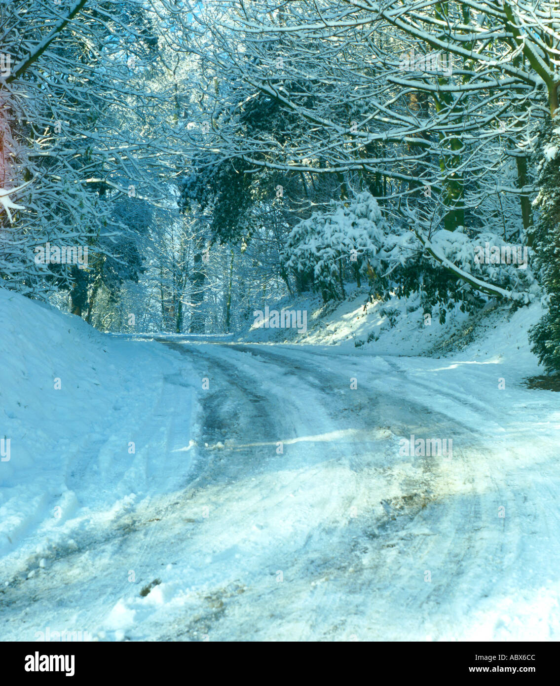 Woodland country lane hi-res stock photography and images - Alamy