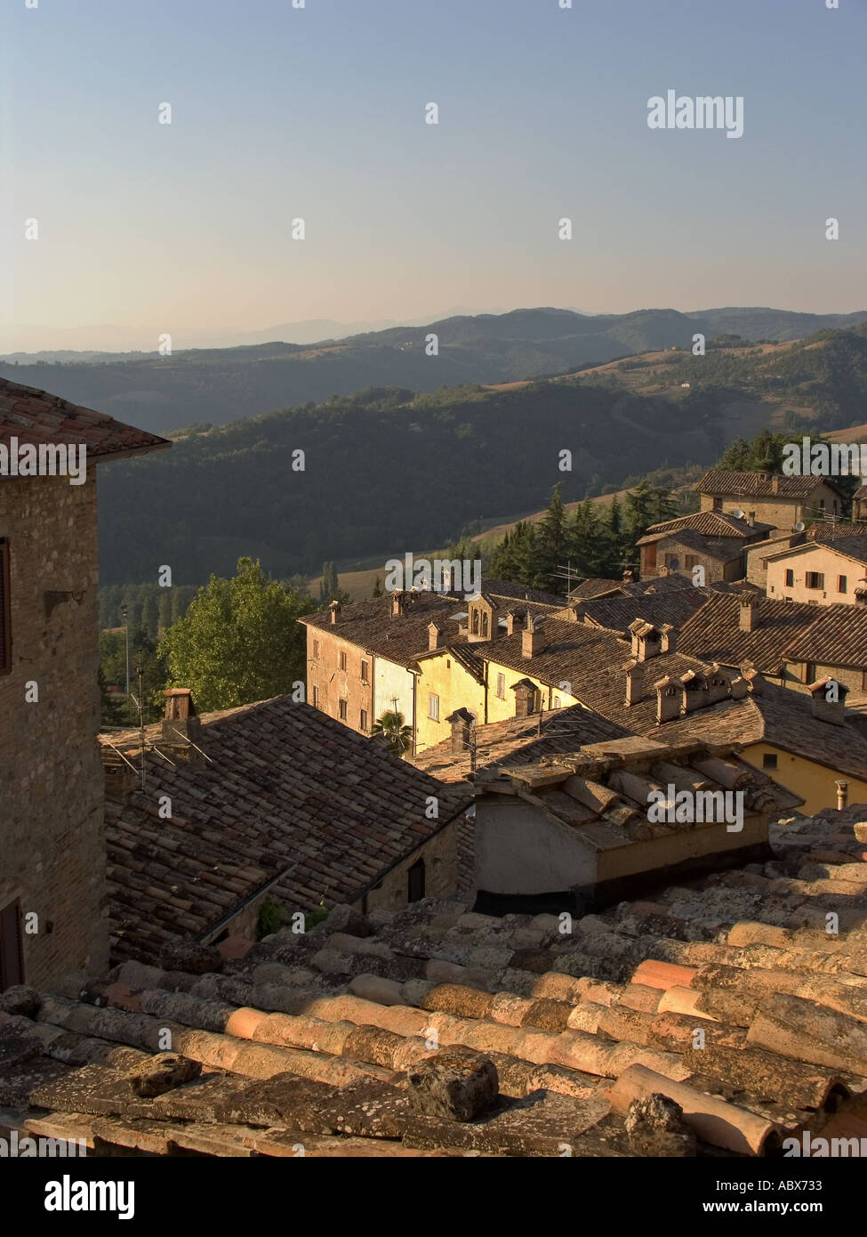 Montone hi-res stock photography and images - Alamy
