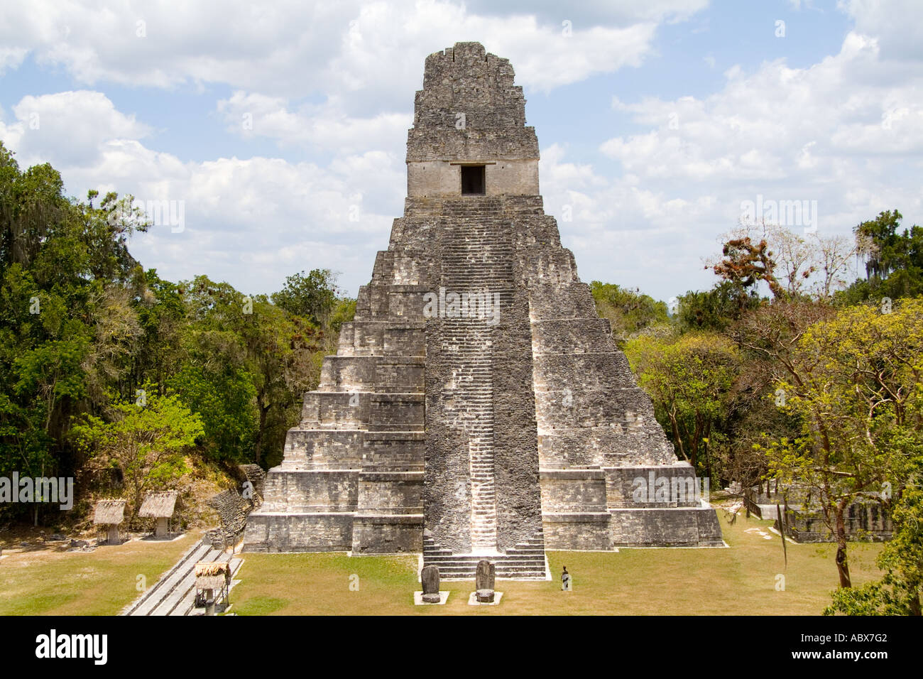 The Ruins Movie Mayans