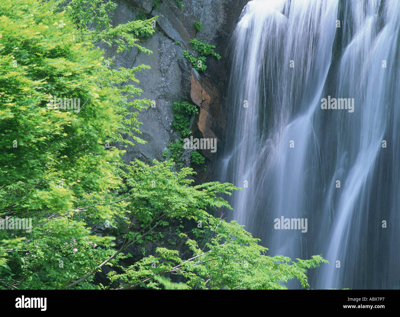 Yasunotaki Fall Akita Japan Stock Photo - Alamy