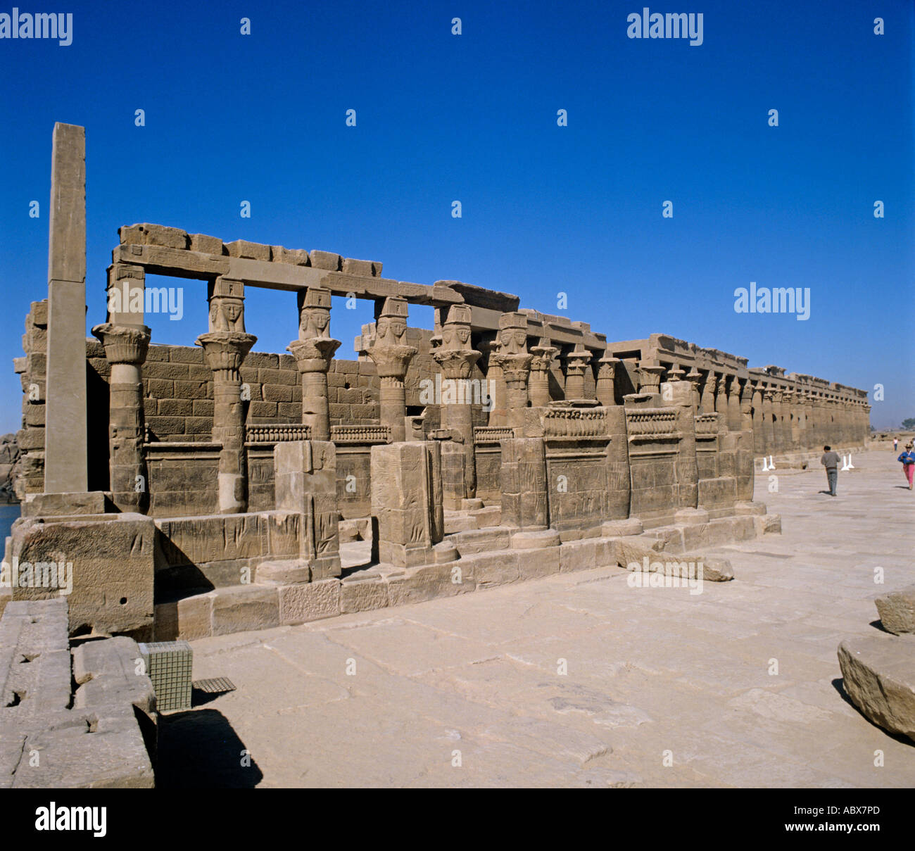 Afrika Africa African Aegypten Egypt Egypte Egyptian Egypt Oberaegypten ...