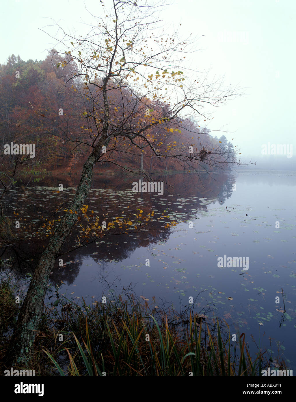 UNITED STATES VIRGINIA Piedmont Region Stock Photo - Alamy