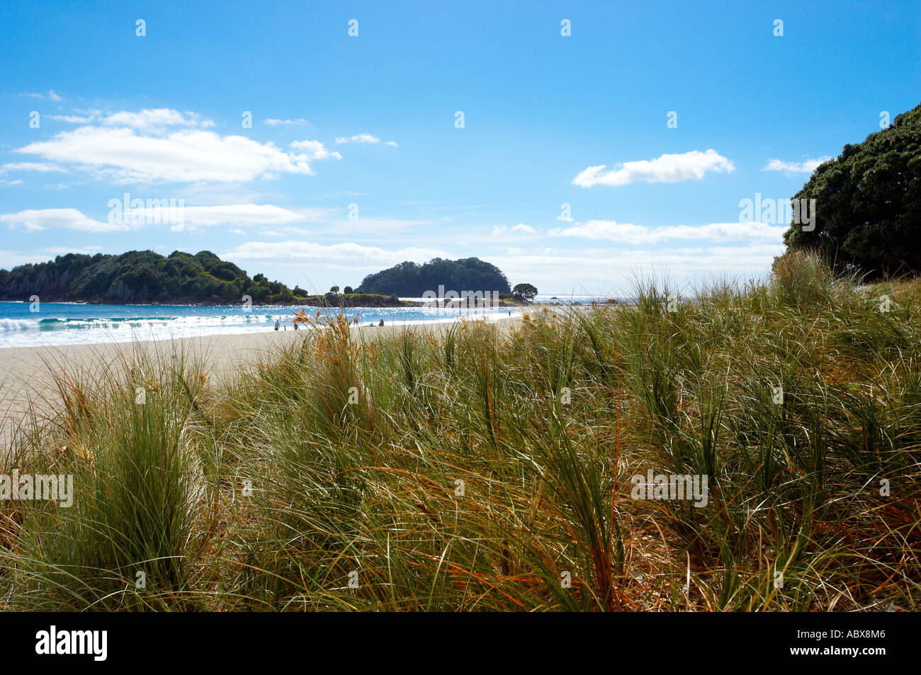 Mount Maunganui Bay of Plenty New Zealand Stock Photo - Alamy