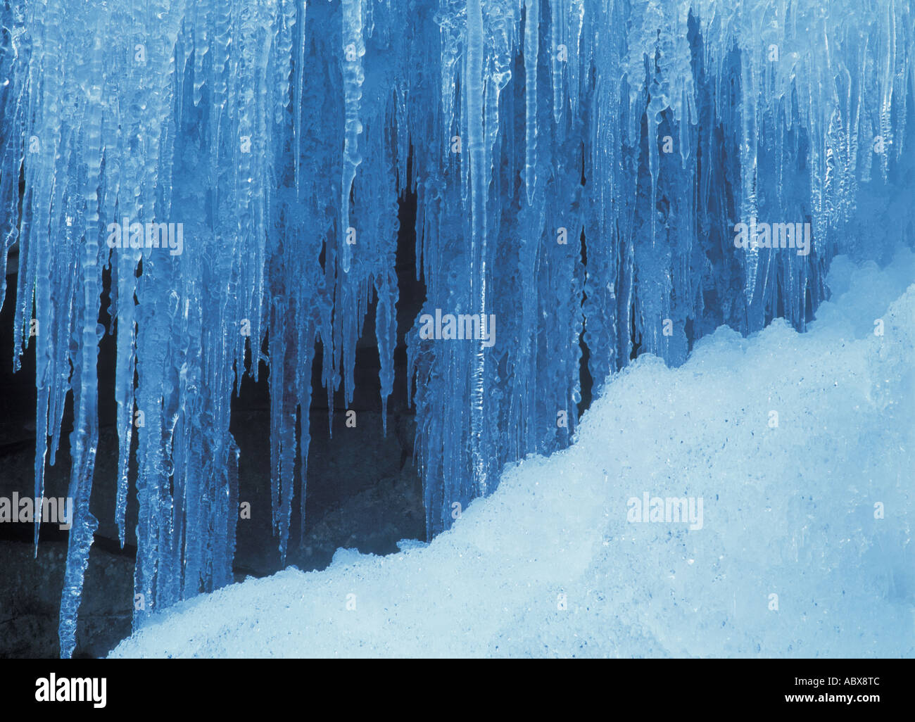 Winter cluster hi-res stock photography and images - Alamy