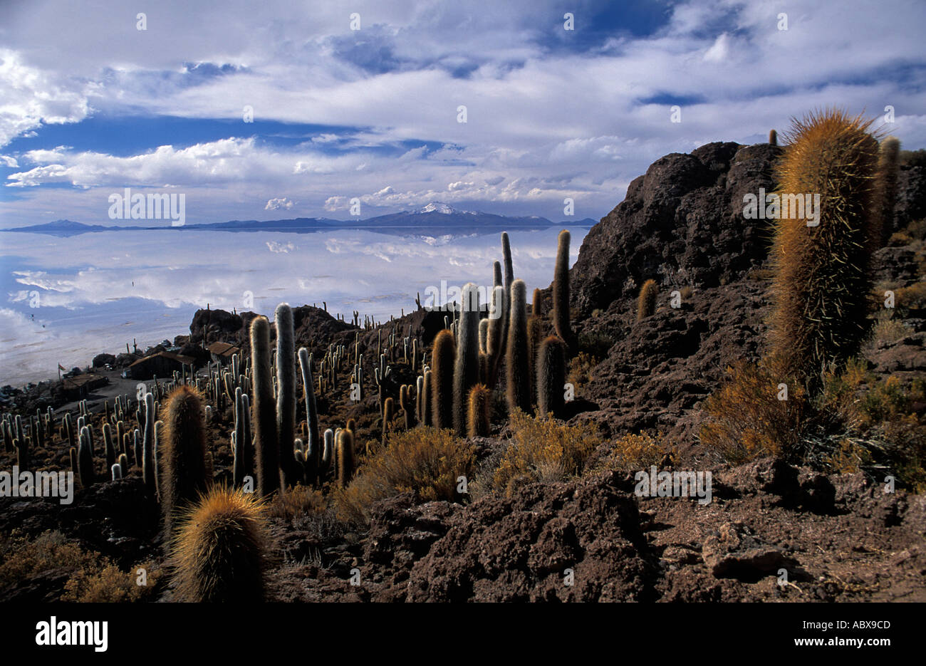 Inca Wasi Inca House Isla de Pescado Fish Island Salar de Uyuni salt ...