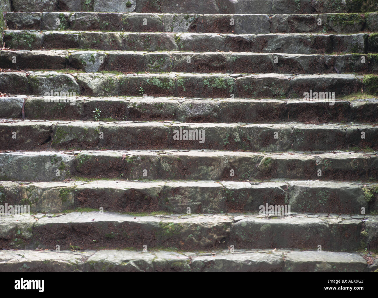 Stone steps close up Stock Photo - Alamy