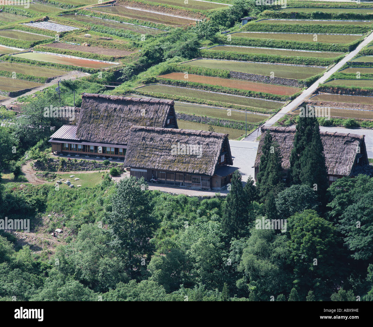 Straw roof house and rice paddy Stock Photo - Alamy
