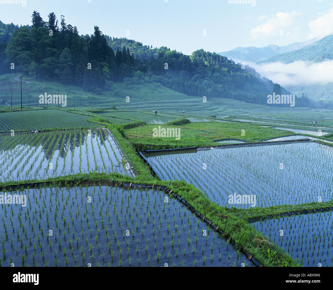 Otari village hi-res stock photography and images - Alamy