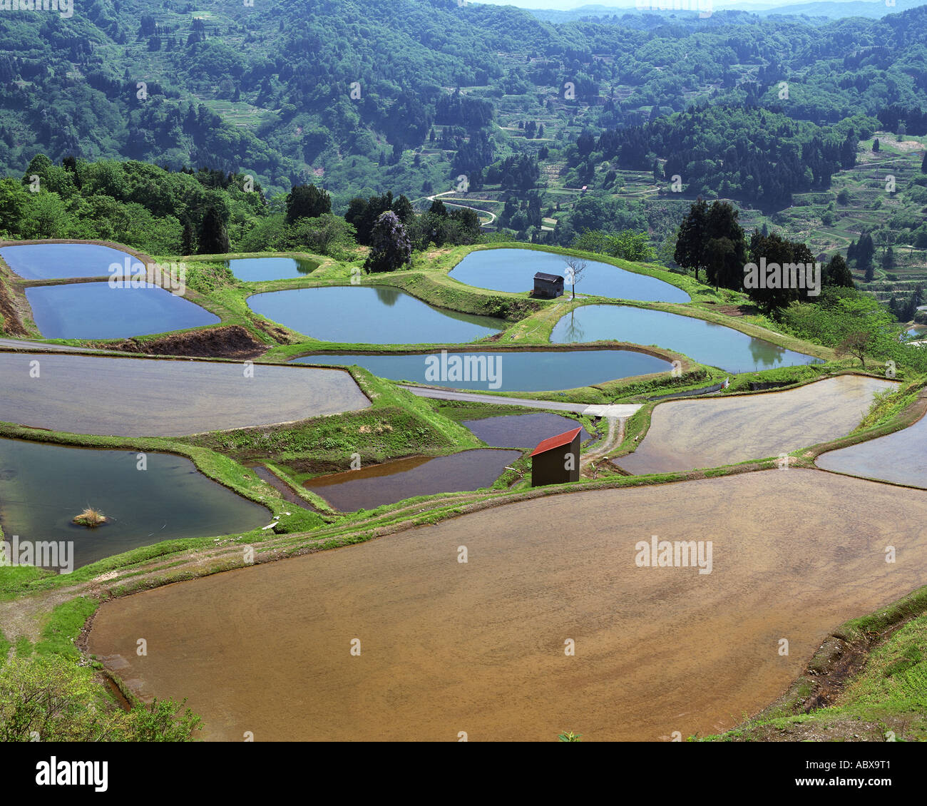 Yamakoshi hi-res stock photography and images - Alamy