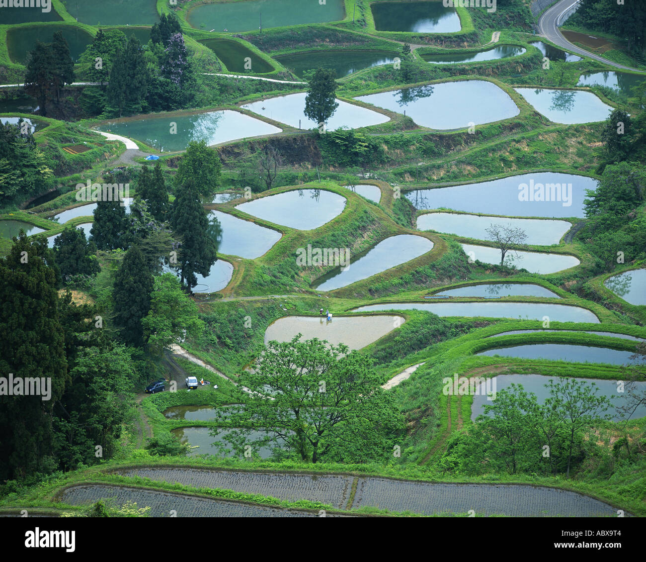 Yamakoshi hi-res stock photography and images - Alamy