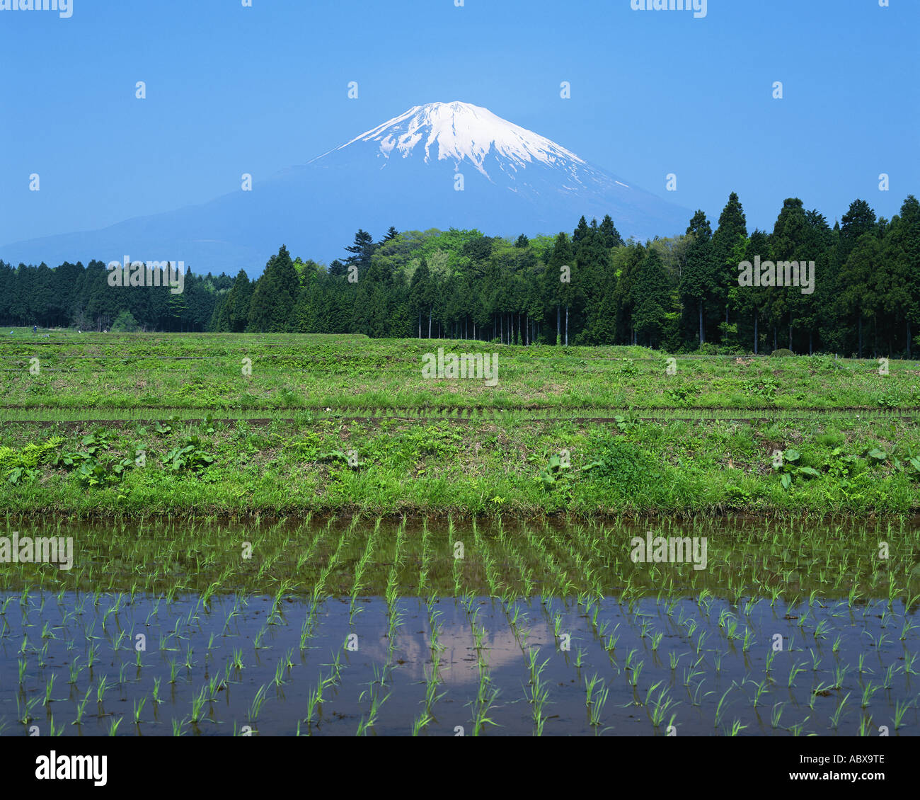Mt Fuji Gotenba Shizuoka Japan Stock Photo - Alamy