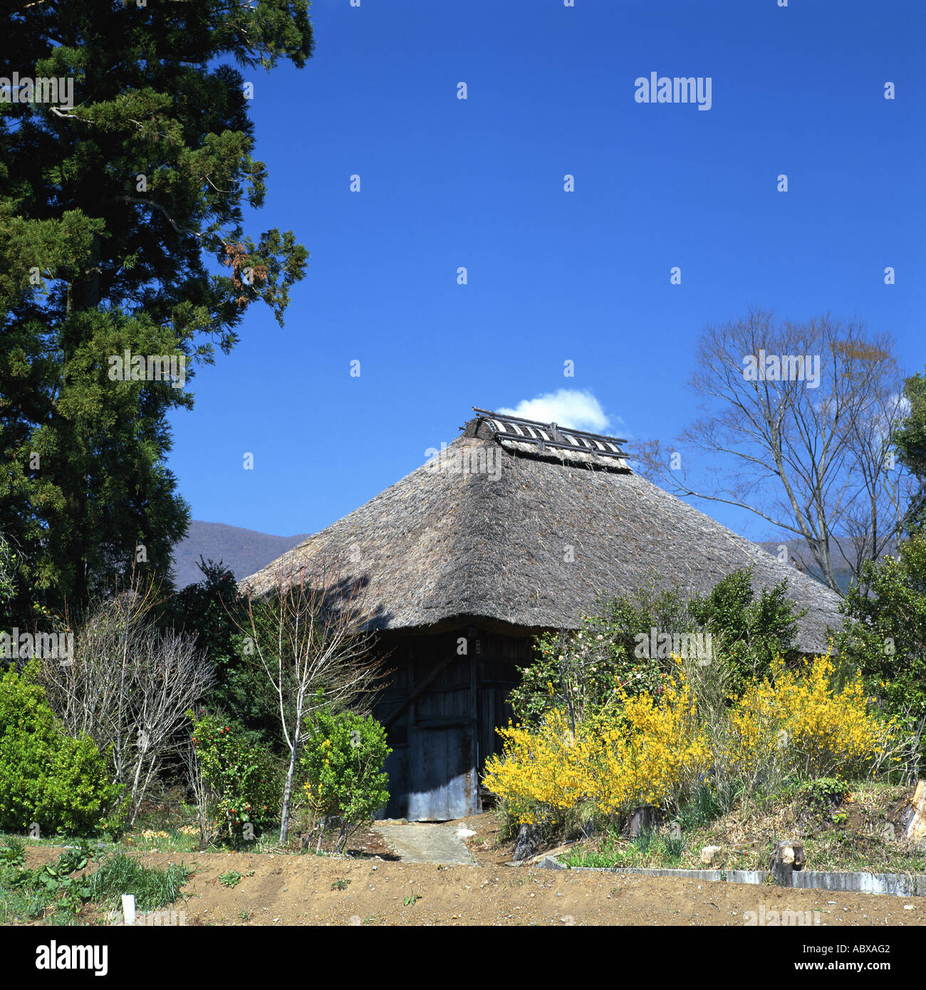 Straw roof house in Japan Stock Photo - Alamy