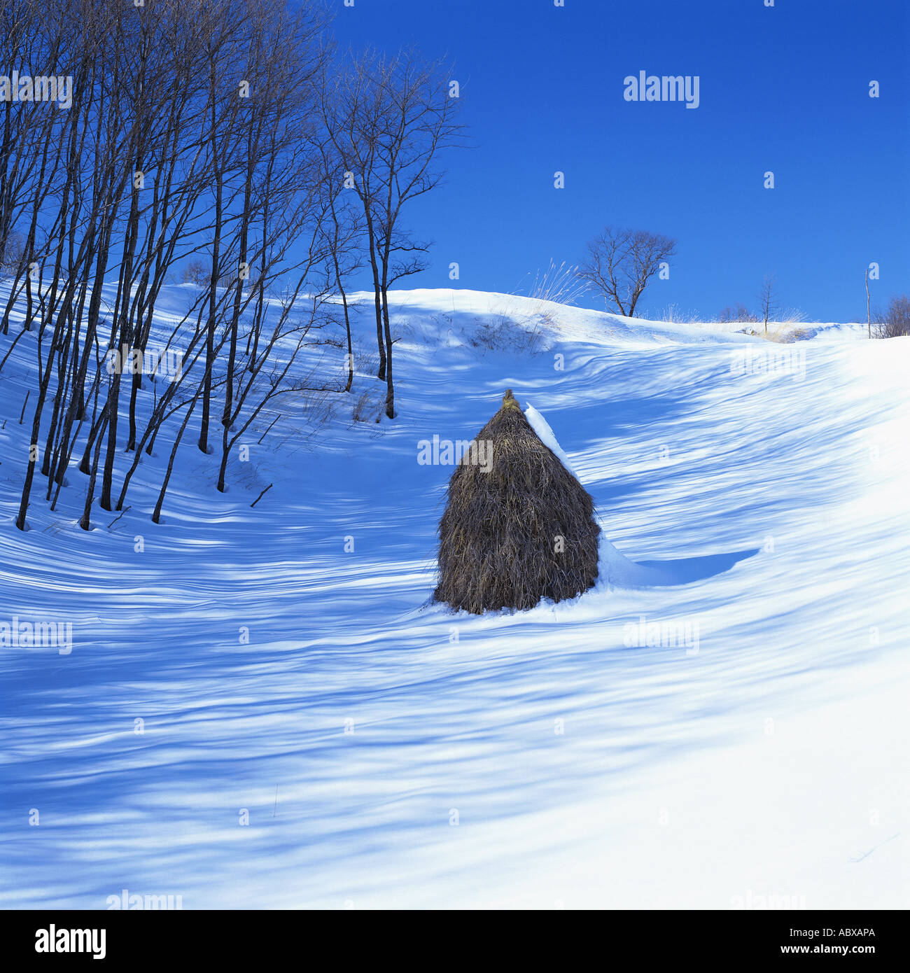 Hakkoda japan hi-res stock photography and images - Alamy