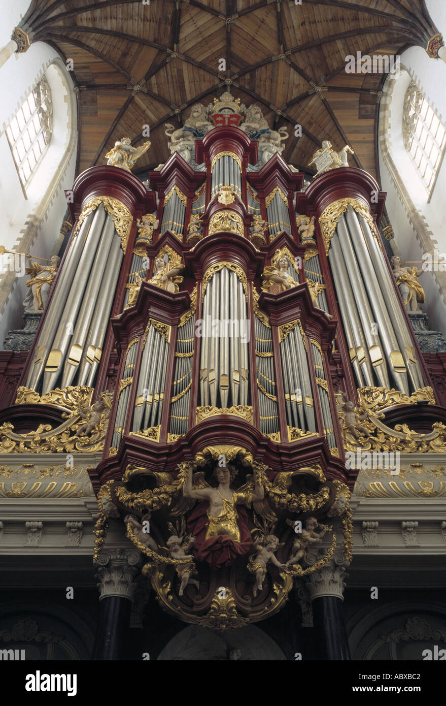 Muller organ hi-res stock photography and images - Alamy