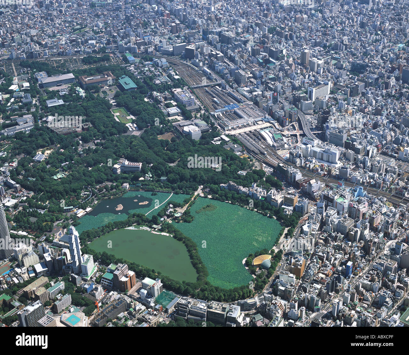 Aerial view of Tokyo Japan Stock Photo - Alamy