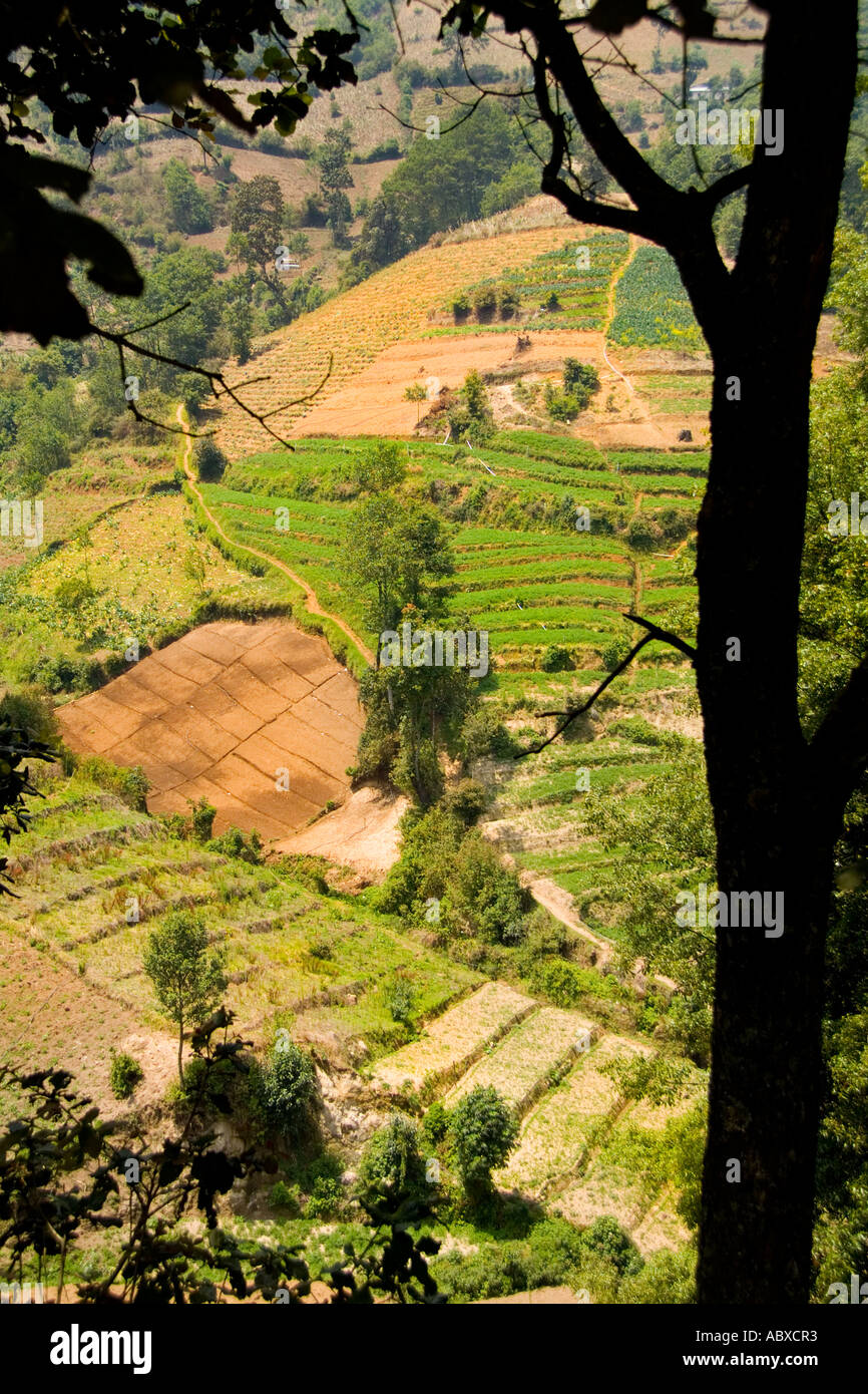 Maya civilization farming hi-res stock photography and images - Alamy