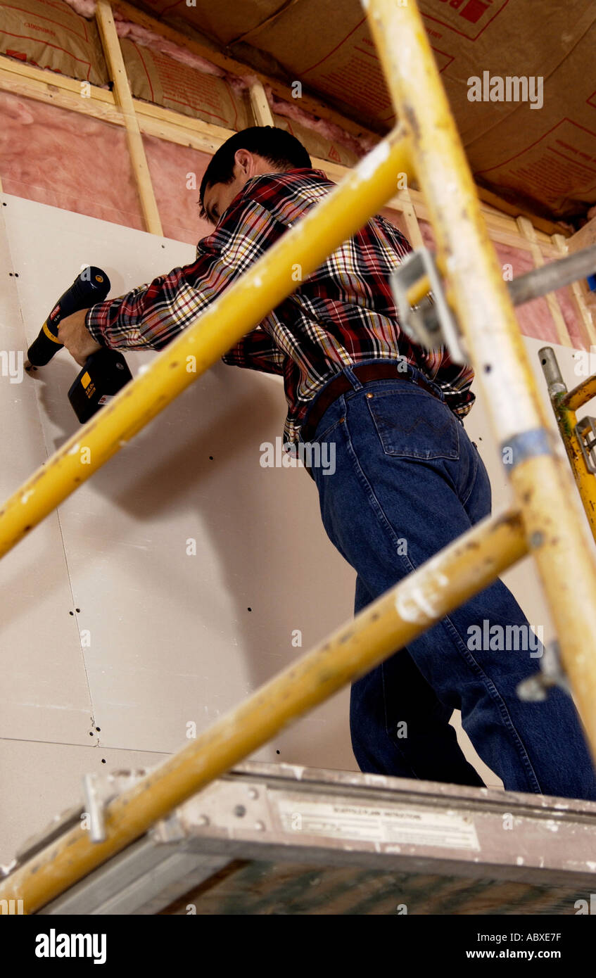 Man putting up drywall Stock Photo - Alamy