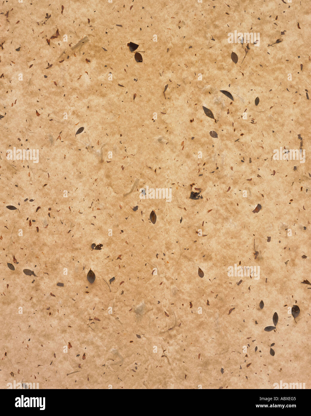 Brown Rice Paper Stock Photo - Alamy