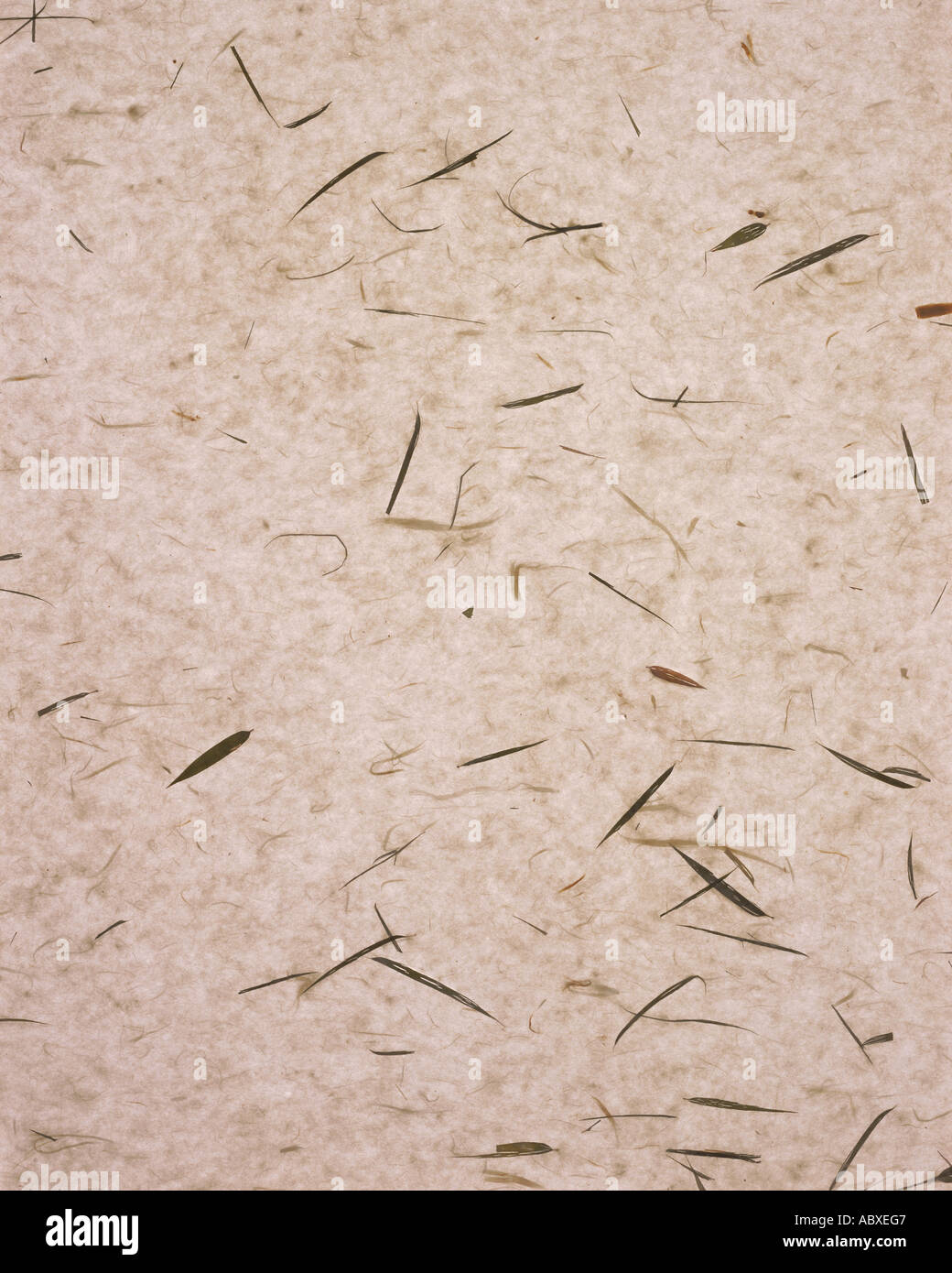 White Rice Paper Stock Photo - Alamy