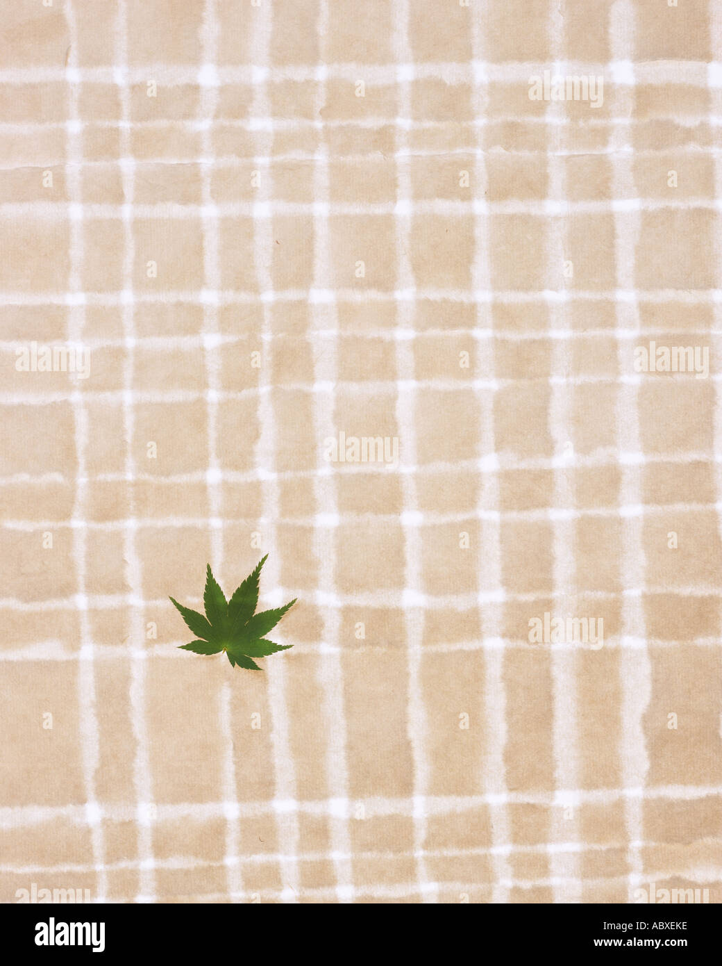 Brown Rice Paper Stock Photo - Alamy