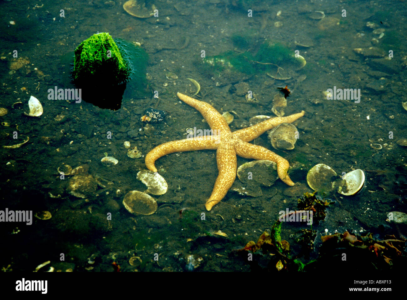 Bay of pillars alaska hi-res stock photography and images - Alamy