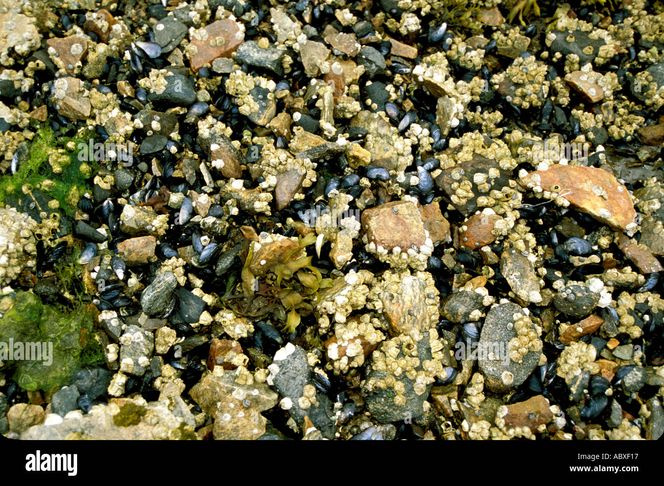 Bay of pillars alaska hi-res stock photography and images - Alamy
