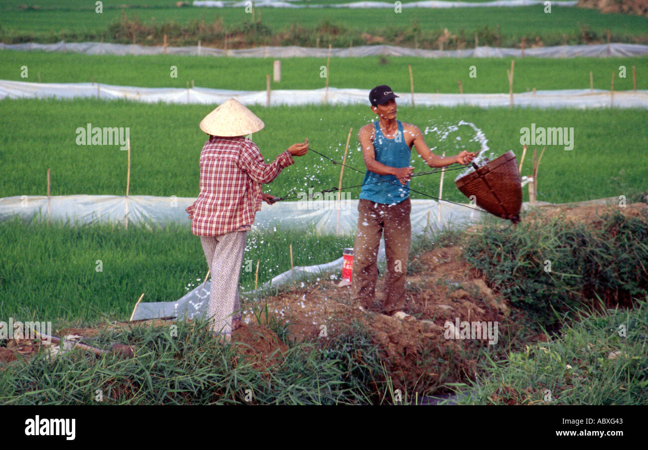 Farmers Irrigating rice fields in Vietnam Stock Photo - Alamy