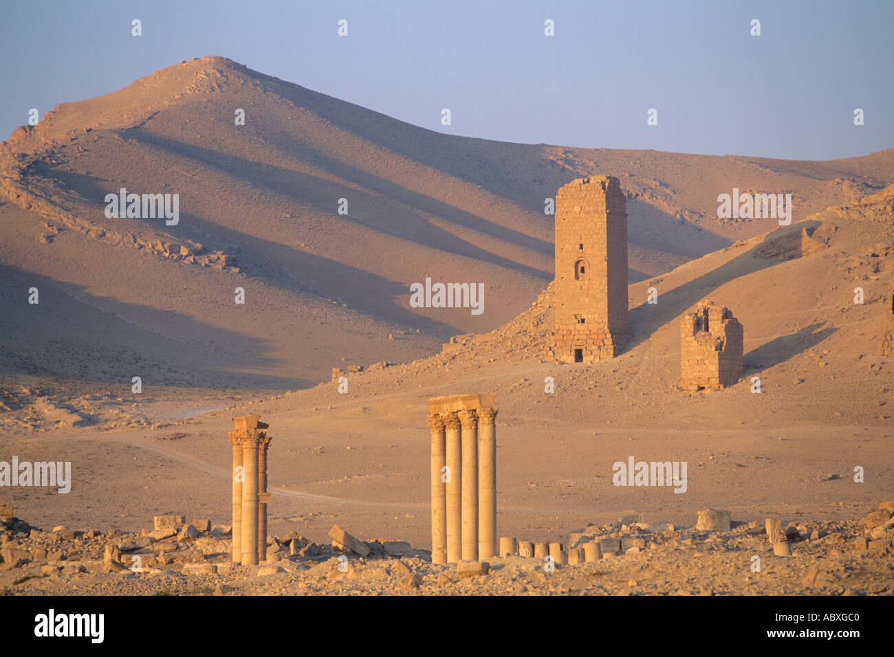 Syria Palmyra desert ruins Stock Photo - Alamy