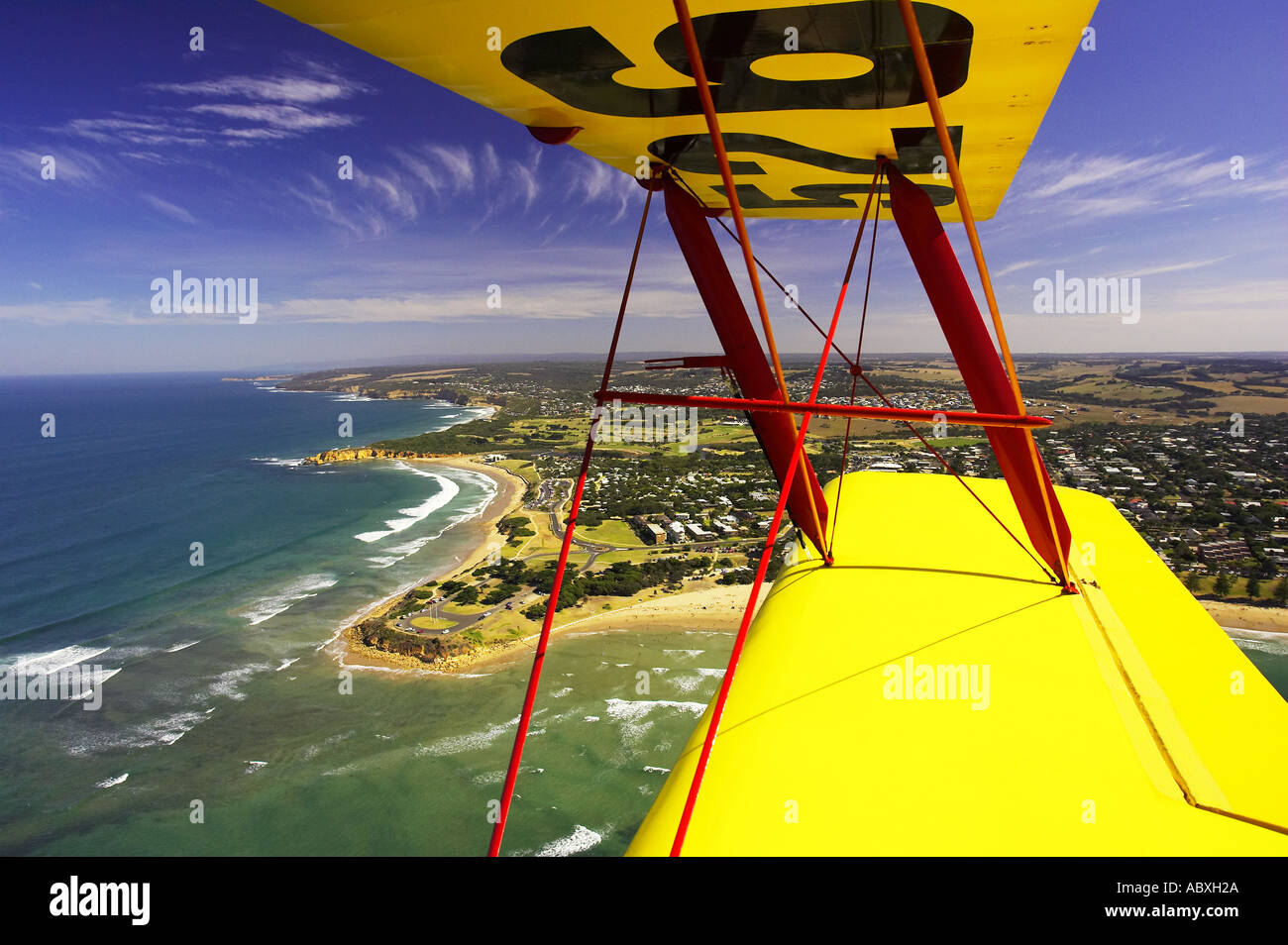 Australian tiger moth hi-res stock photography and images - Alamy