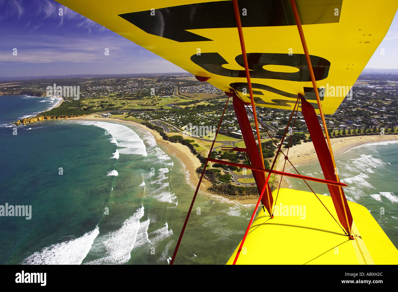 Australian tiger moth hi-res stock photography and images - Alamy