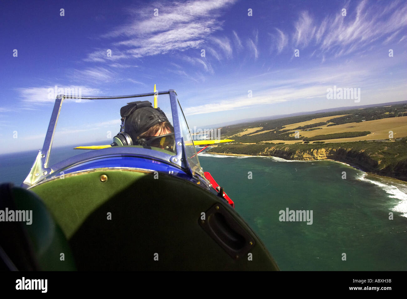 Australian tiger moth hi-res stock photography and images - Alamy