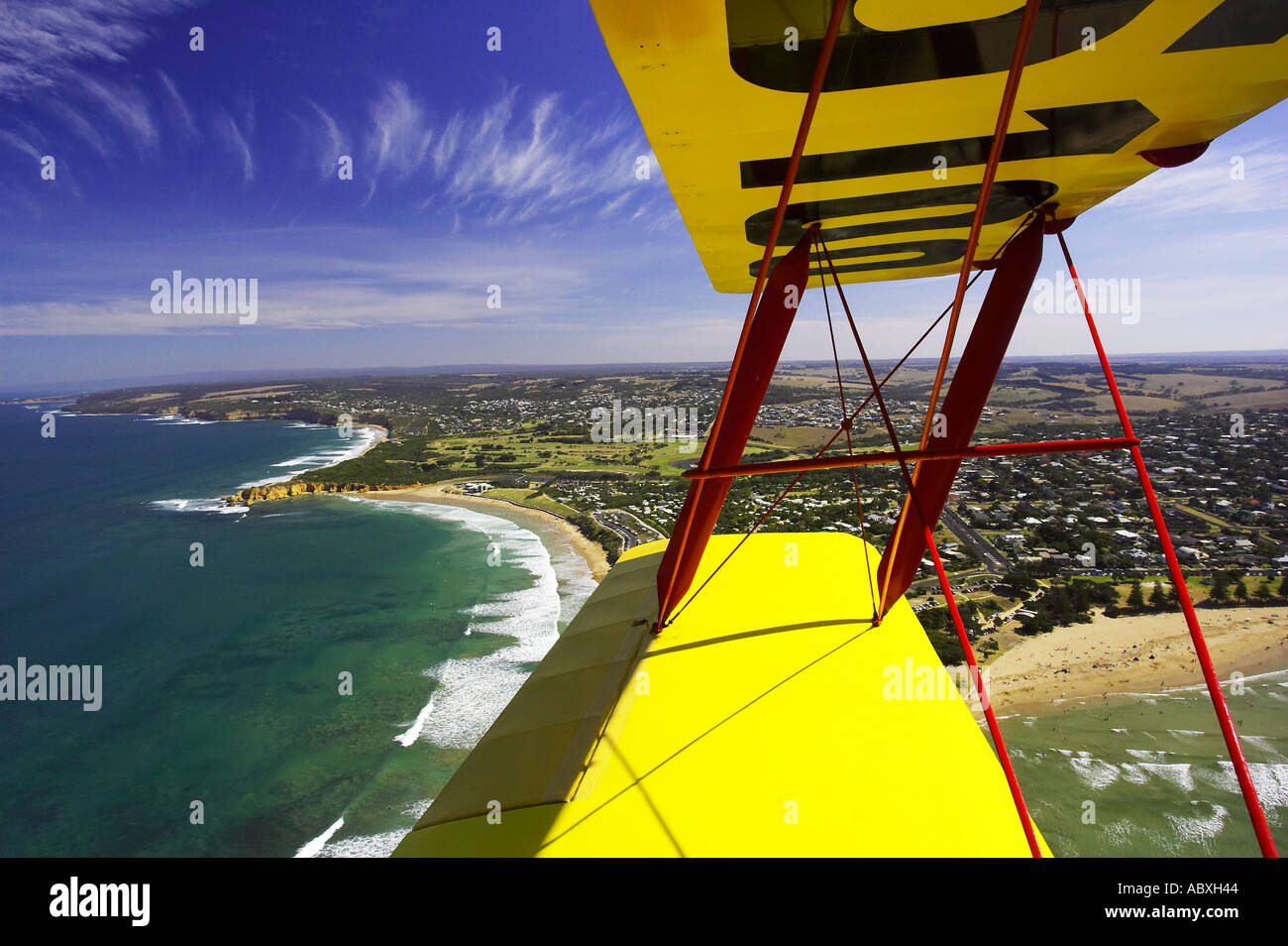 Australian tiger moth hi-res stock photography and images - Alamy