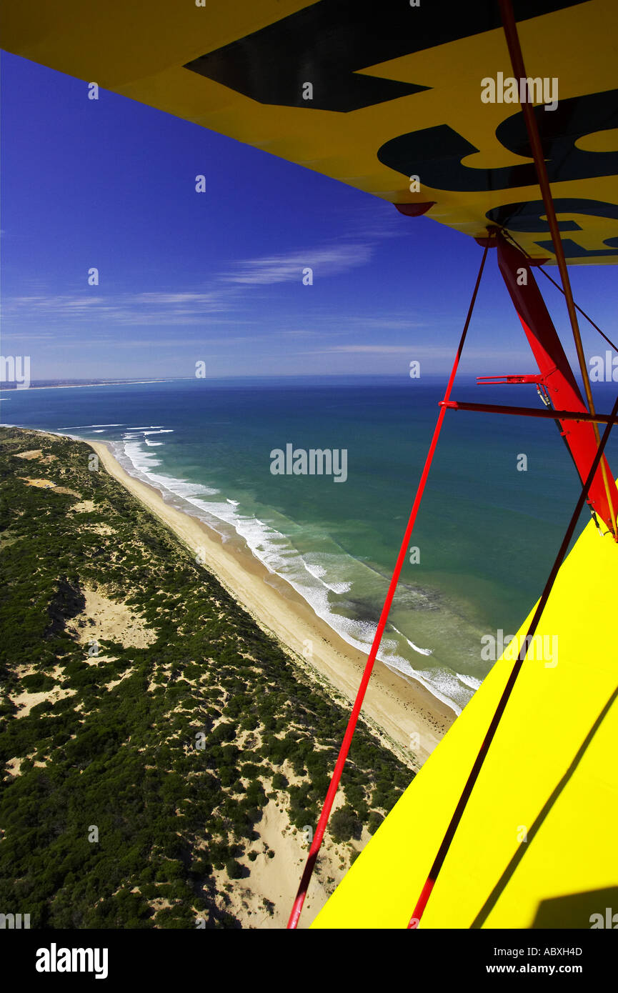 Australian tiger moth hi-res stock photography and images - Alamy