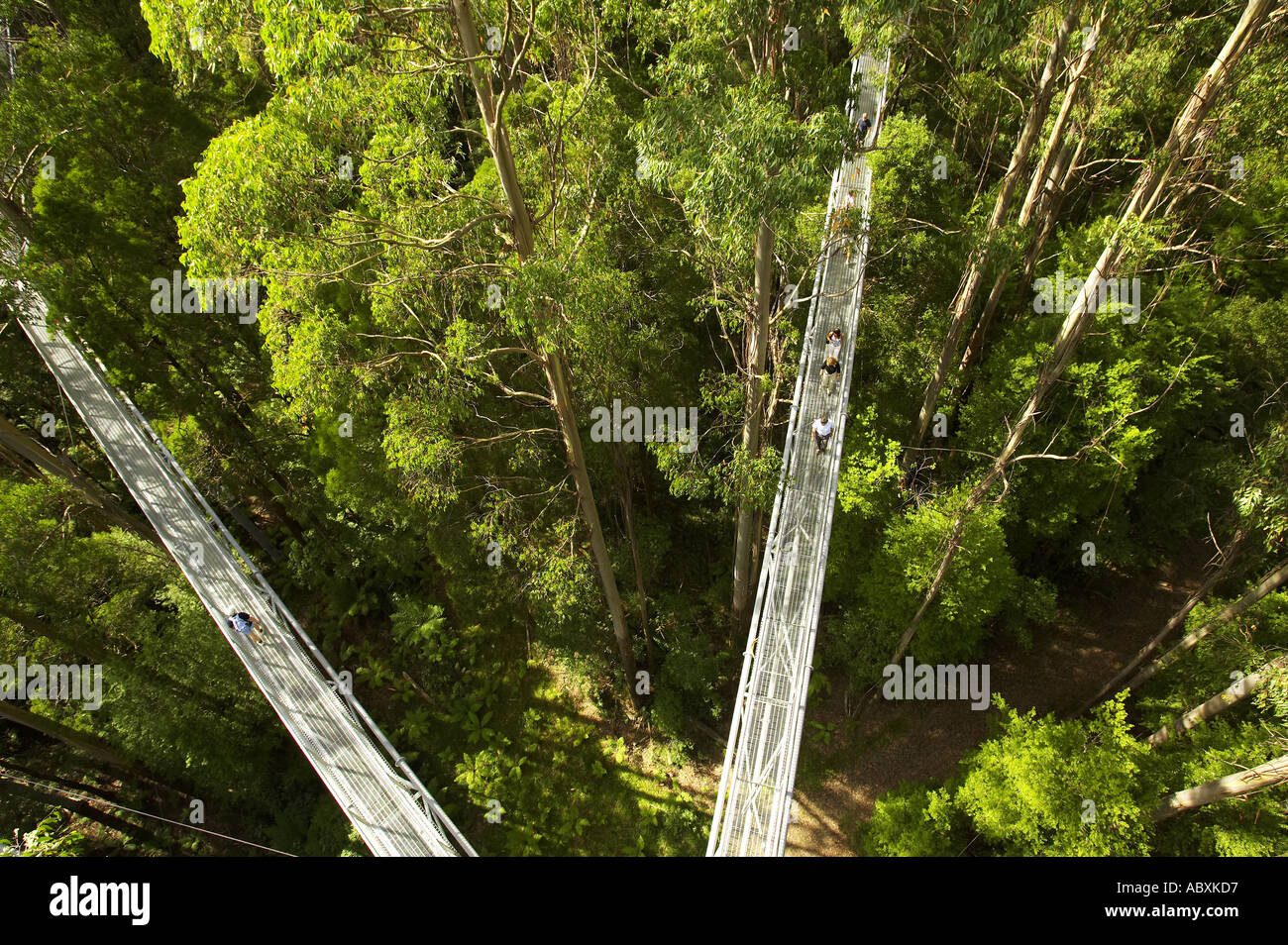 Otway ranges hi-res stock photography and images - Alamy