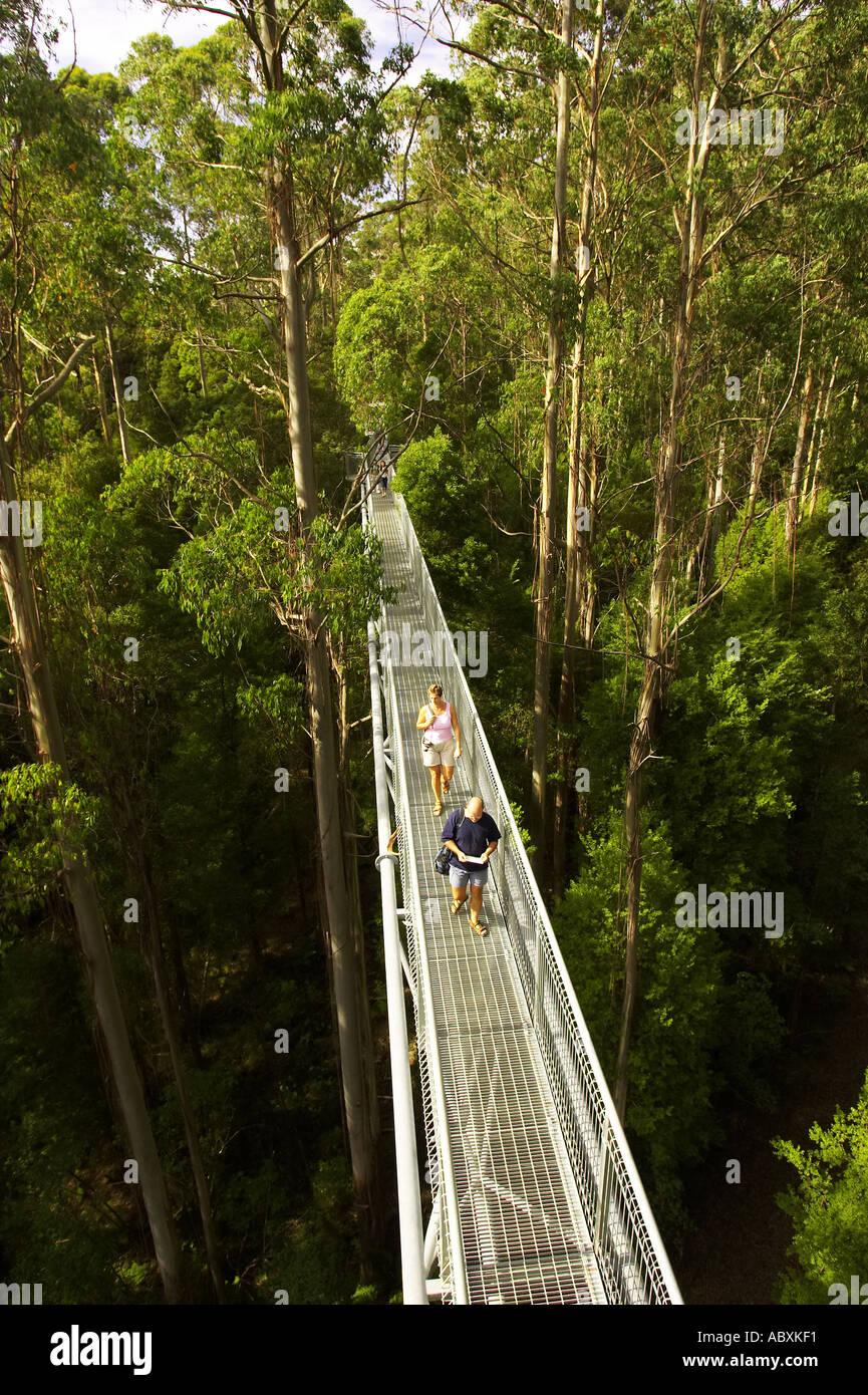 Otway fly hi-res stock photography and images - Alamy