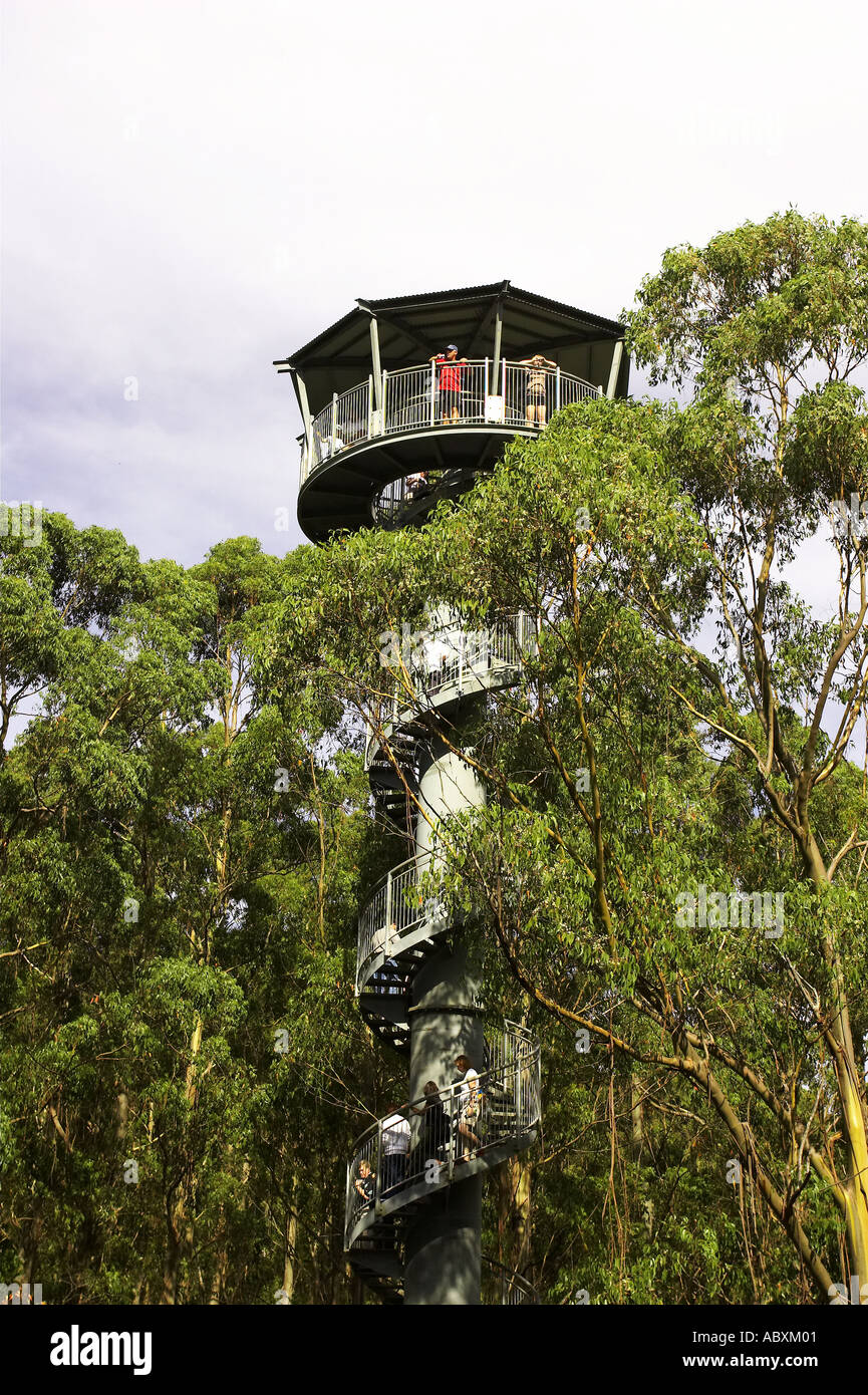 Fly tree top walk hi-res stock photography and images - Alamy