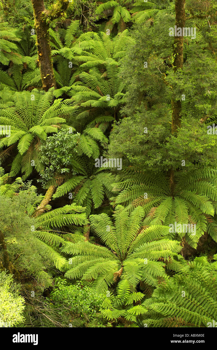 Otway range hi-res stock photography and images - Alamy
