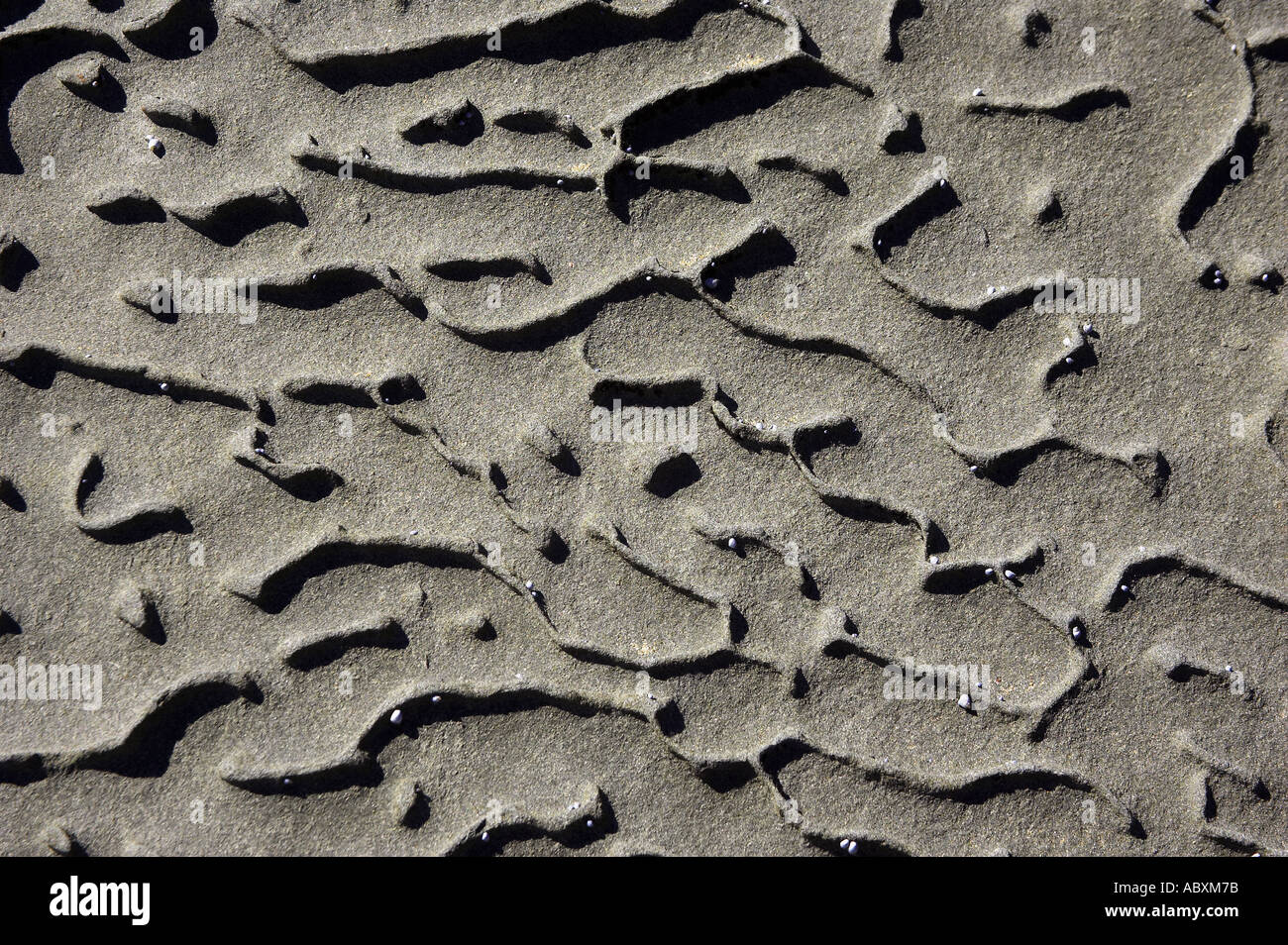 Sedimentary rocks victoria australia hi-res stock photography and ...