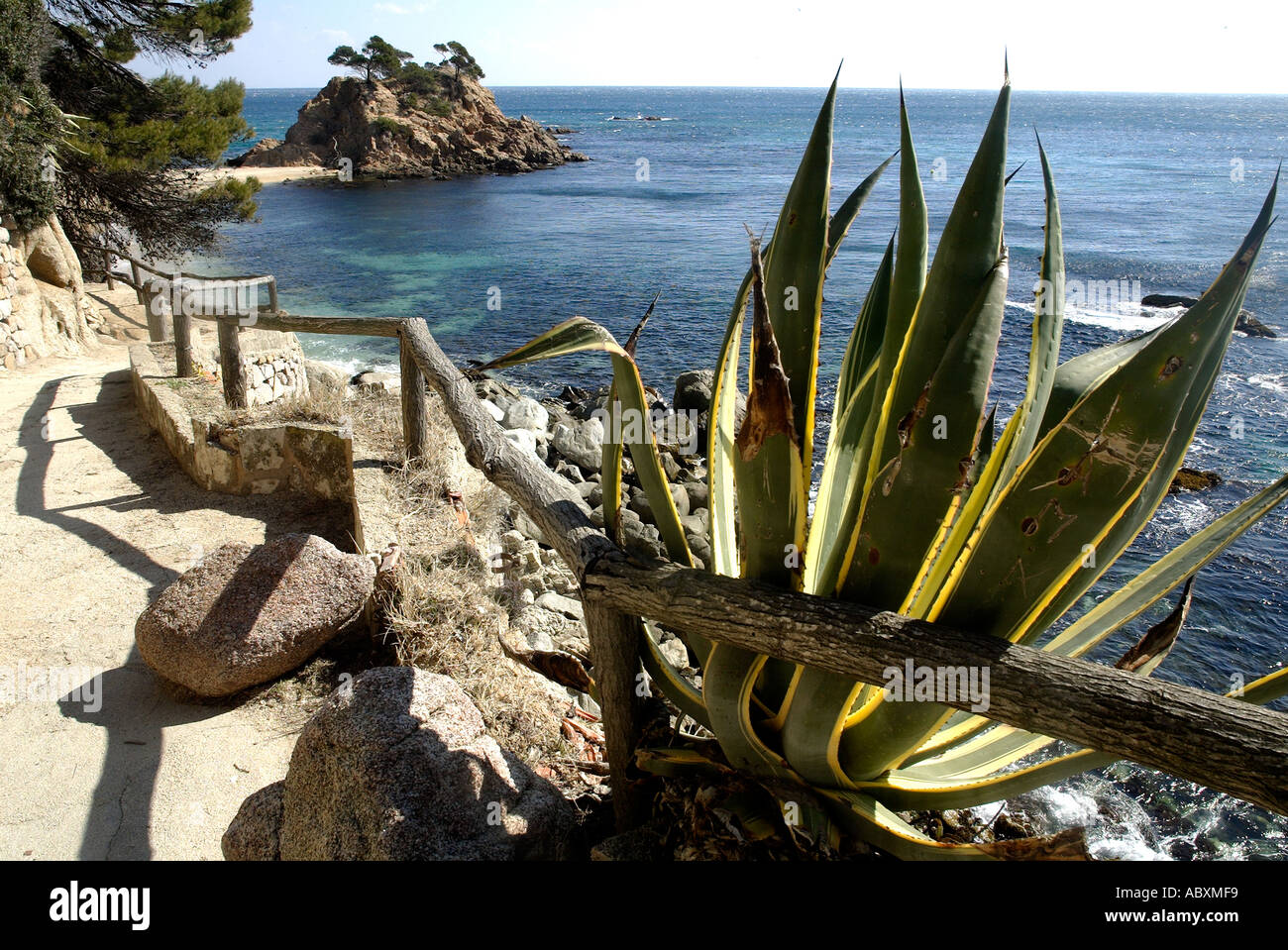 Cala bella dona hi-res stock photography and images - Alamy