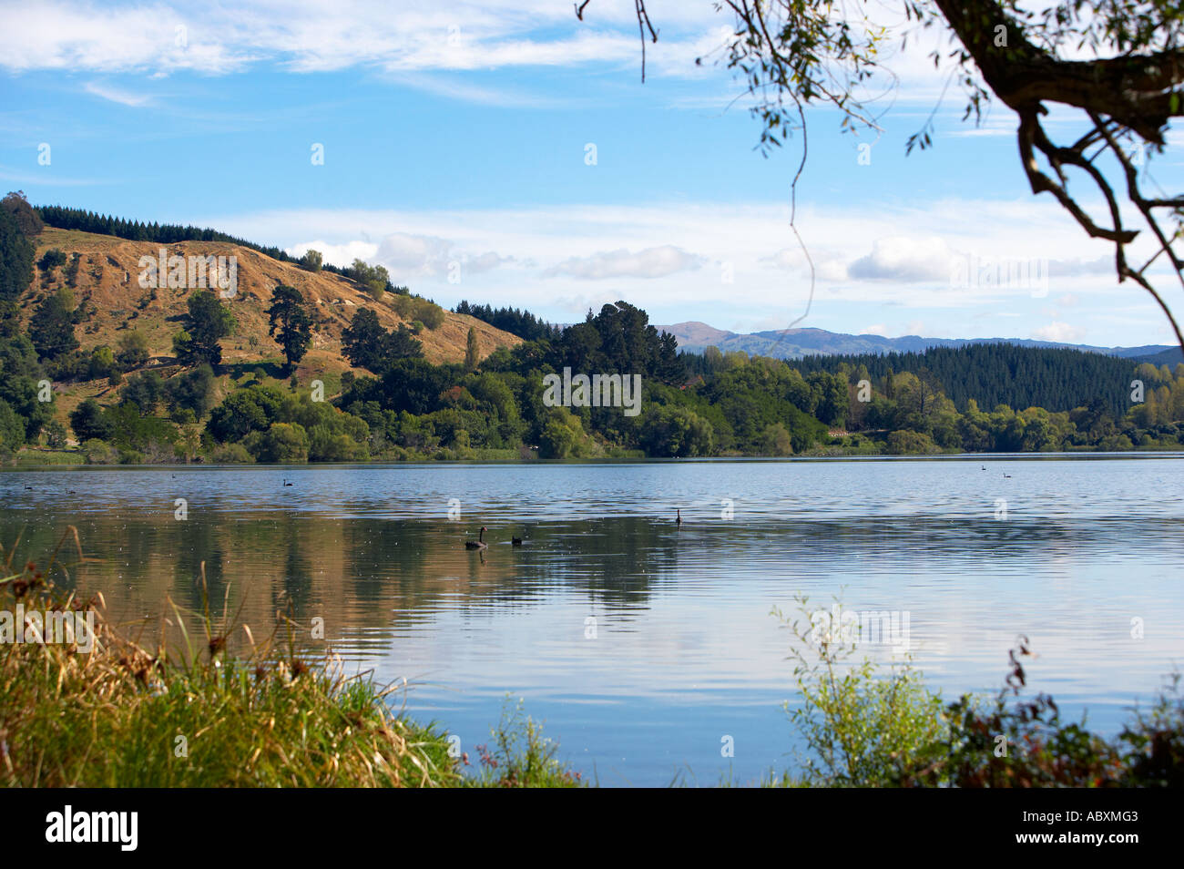 Lake Tutira Hawkes Bay New Zealand Stock Photo - Alamy