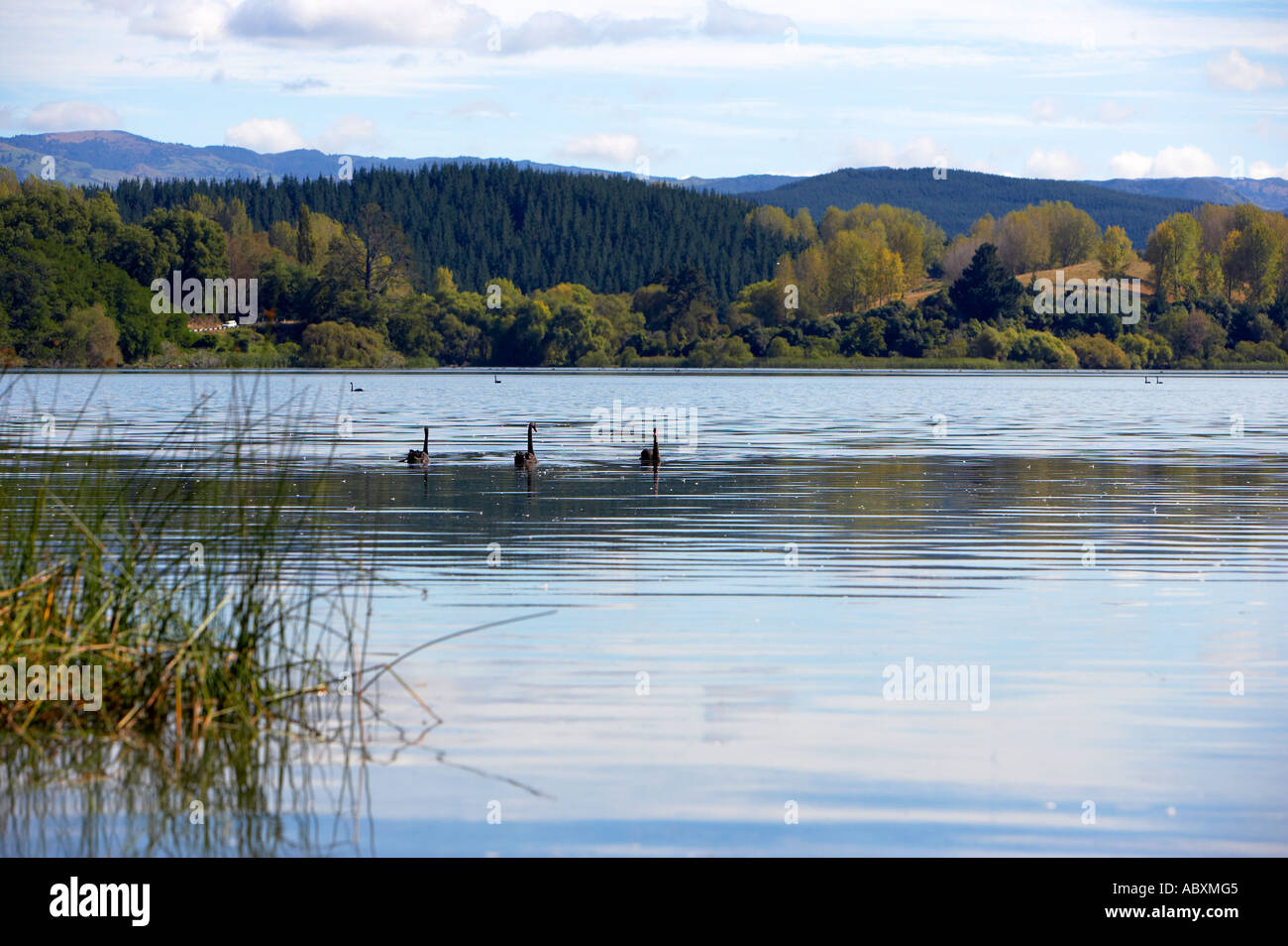 Lake tutira new zealand hi-res stock photography and images - Alamy