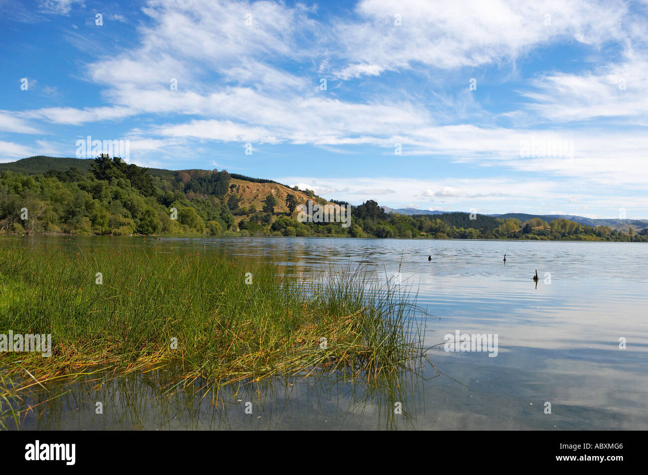 Lake Tutira Hawkes Bay New Zealand Stock Photo - Alamy