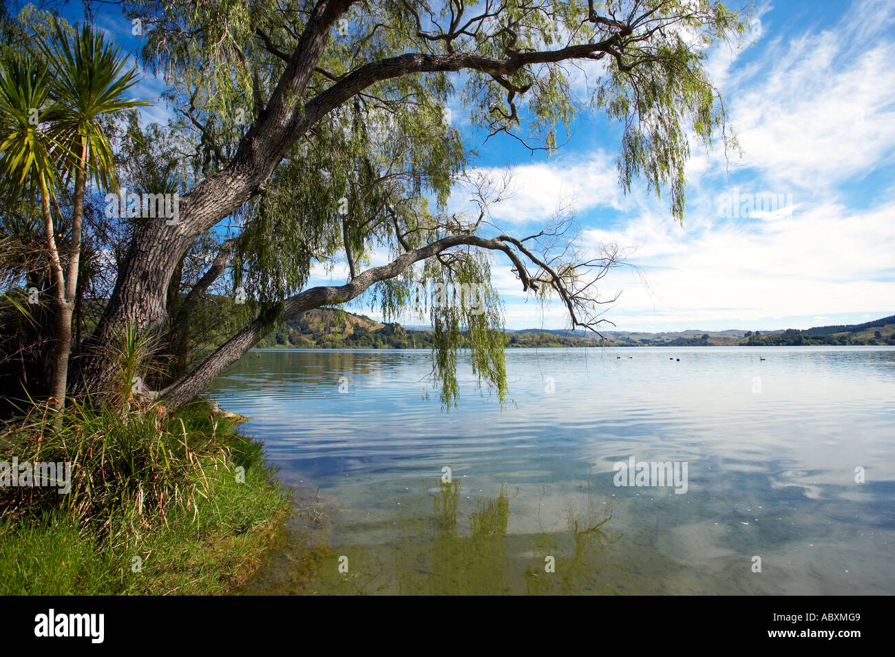 Lake Tutira Hawkes Bay New Zealand Stock Photo - Alamy