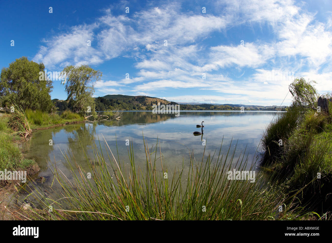 Lake Tutira Hawkes Bay New Zealand Stock Photo - Alamy