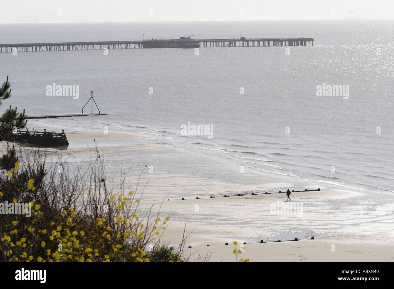 Solitary walker on the beach at Frinton on Sea with the pier at Walton ...