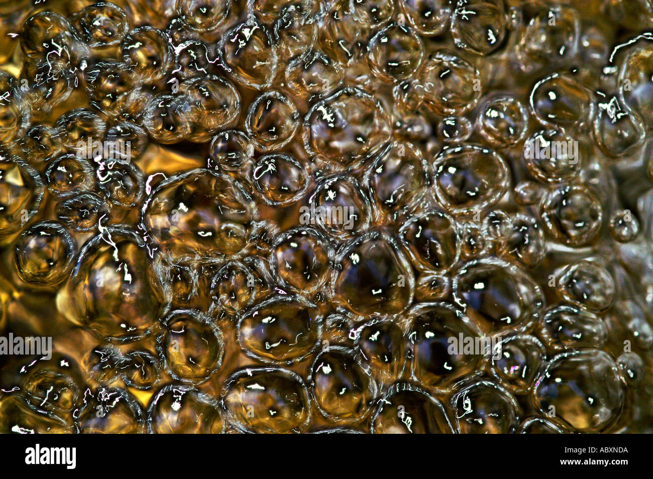 Eggs bubbles hi-res stock photography and images - Alamy