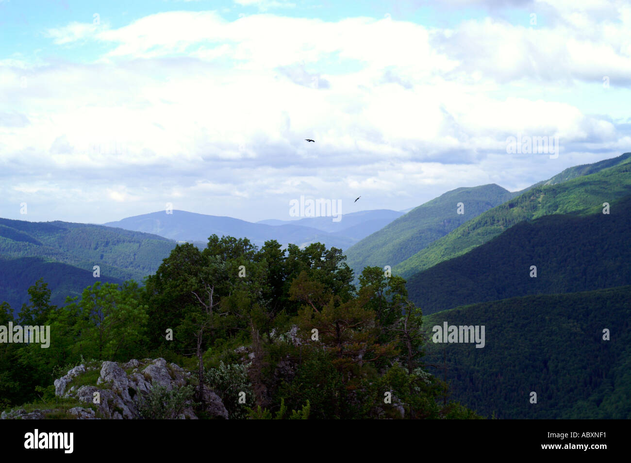 Ciganka Cliff and Hawk Stock Photo - Alamy