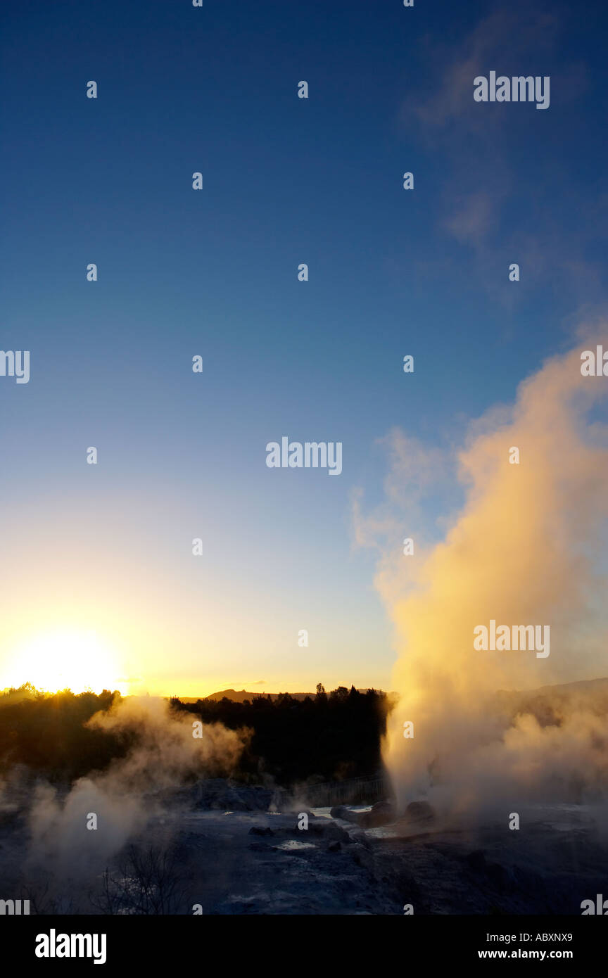 Whakarewarewa Thermal area Rotorua New Zealand Pohutu Geyser Stock ...